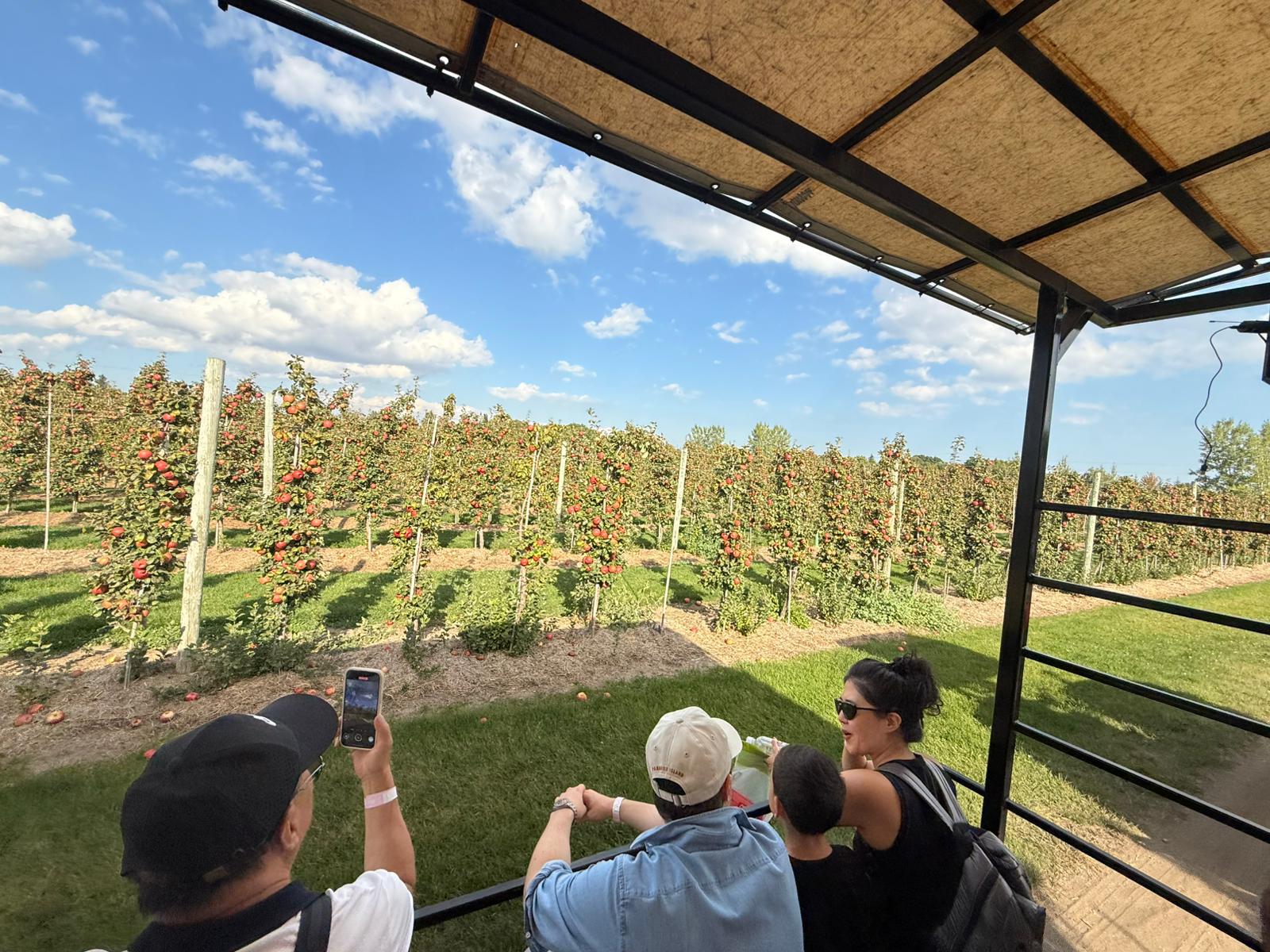 Apple Picking Near Toronto | Chudleigh's Farm, Milton